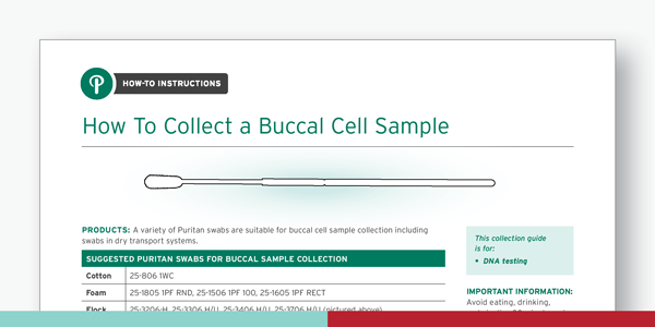 How to Collect a Buccal Cell Sample | Step-by-Step PDF Guide
