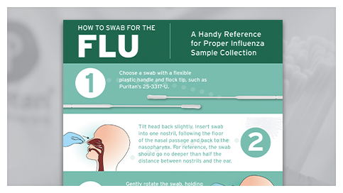 How to Swab for the Flu | PDF | Step-by-Step Infographic